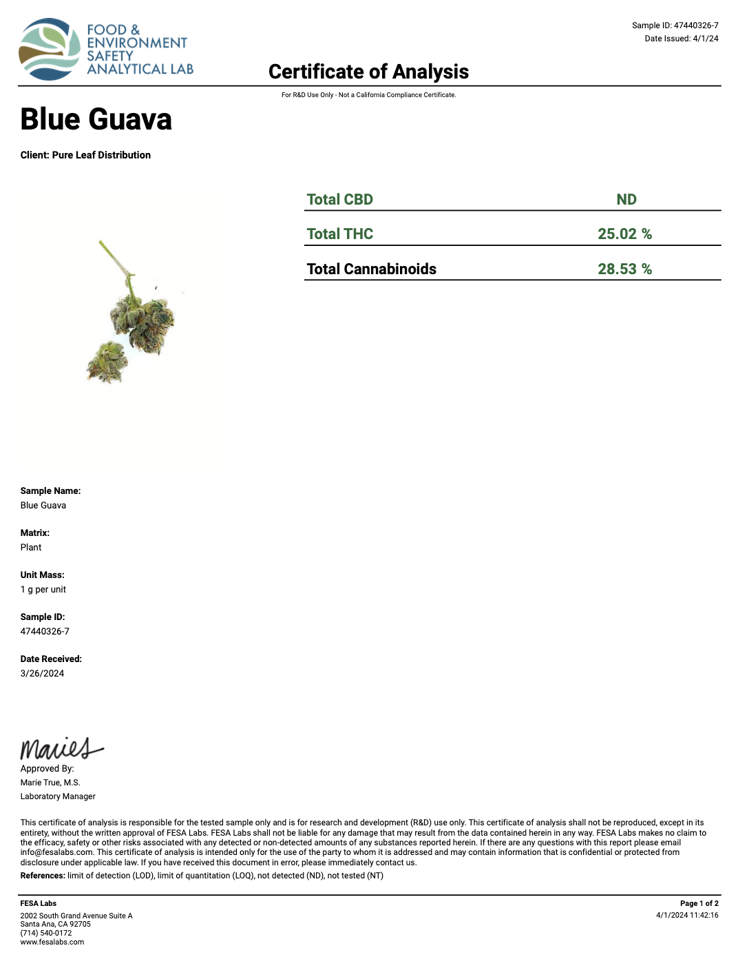 Blue Guava THCA COA – Hemp House