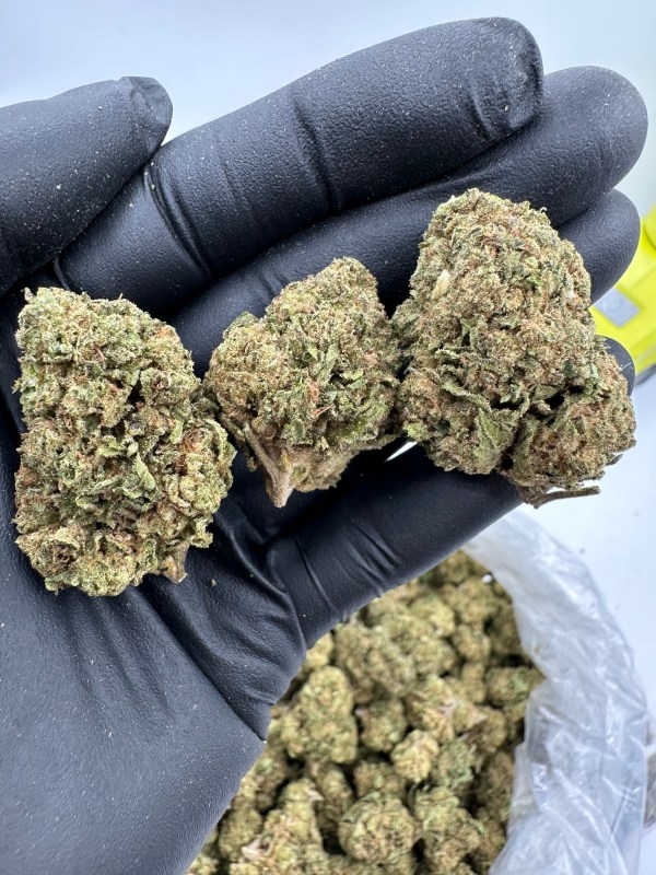 JOKERZ CANDY – LIGHT ASSIST – Hemp House