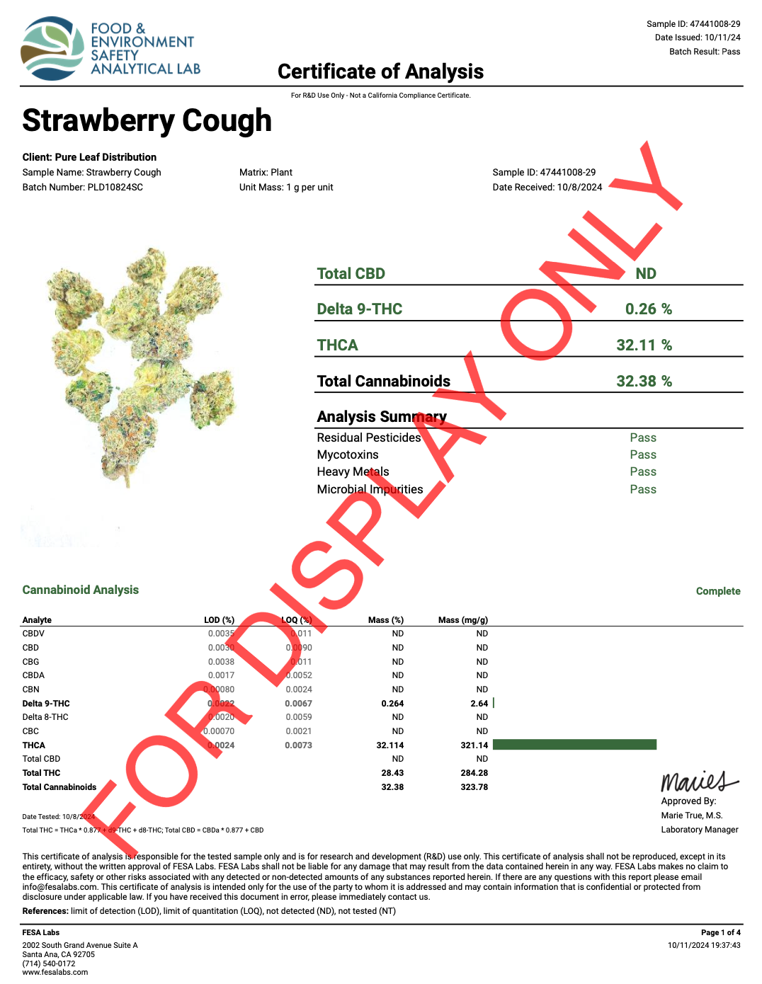 STRAWBERRY COUGH – INDOOR – Hemp House