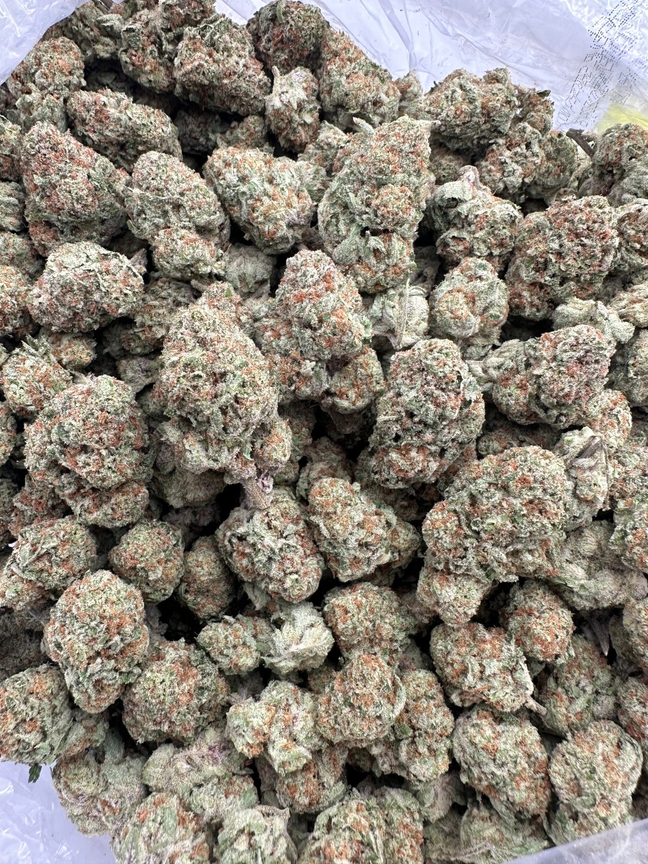 COLOMBIAN GOLD – INDOOR – Hemp House